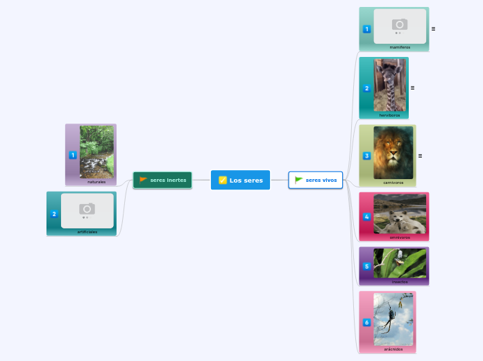 Los seres - Mind Map